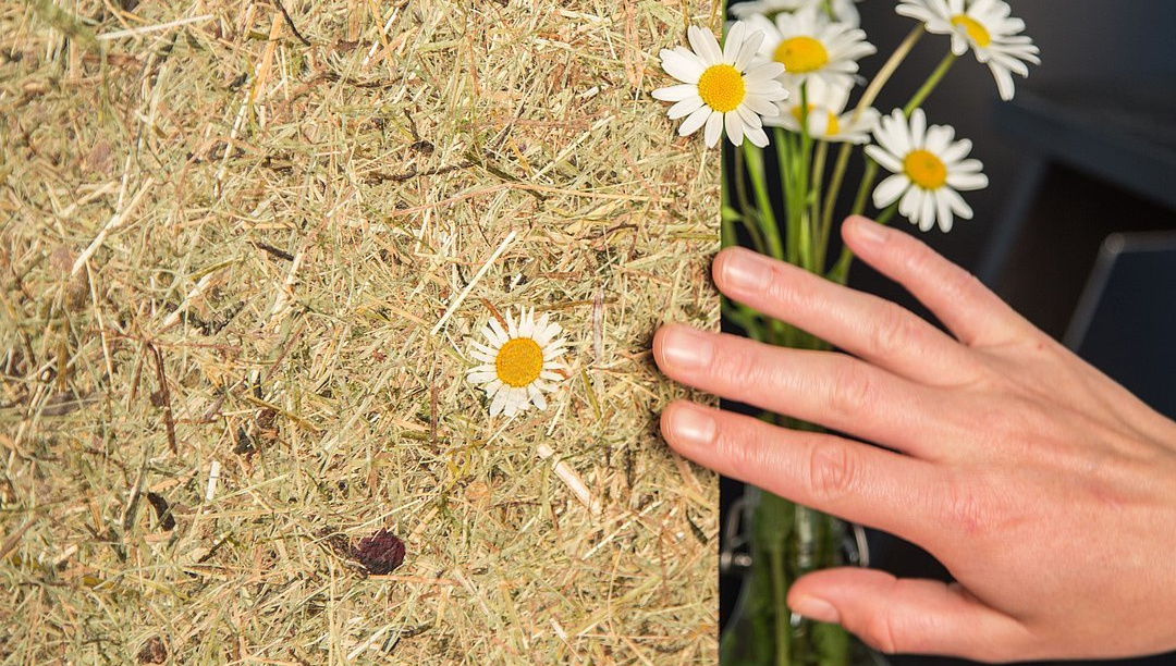 Wand & Decke - Franz Waterkamp GmbH & Co. KG