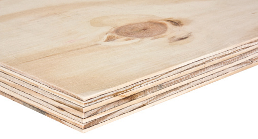 Elliotti Pine Sperrholz - Nadelsperrholz - Franz Waterkamp GmbH & Co. KG